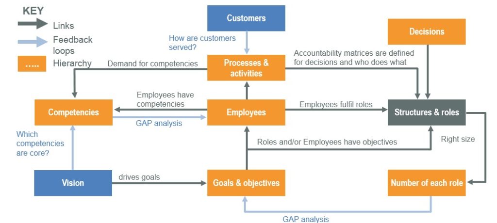 Organizational System: The Key to Organizational Stability | Orgvue