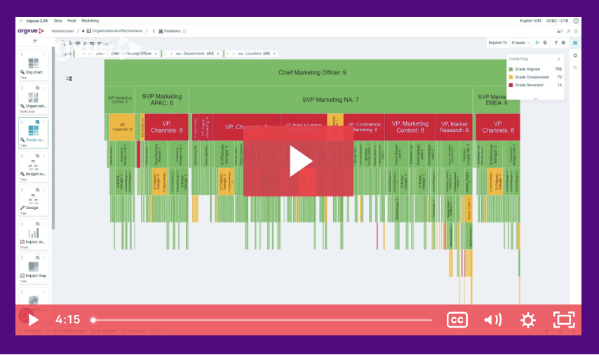 Organization analysis video | Orgvue