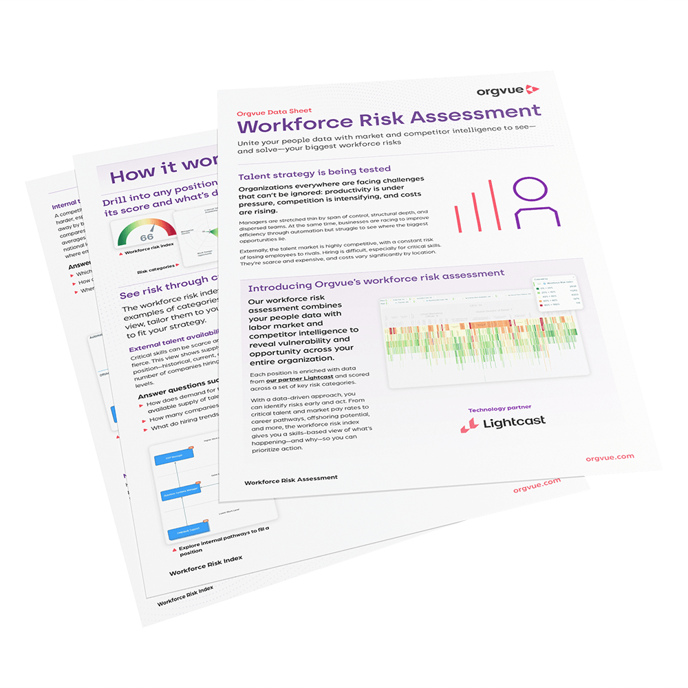 Workforce risk assessment data sheet | Orgvue
